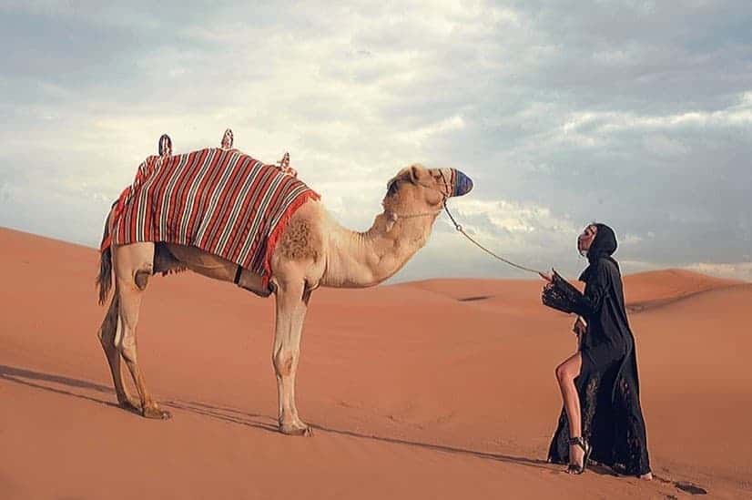 Evening camel trekking tour with BBQ dinner Package - Trip Venture Tours